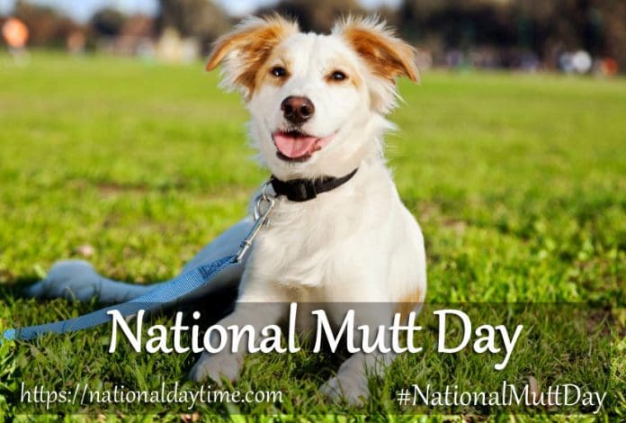 National Mutt Day 2023 - Monday, July 31 - Nationaldaytime.com