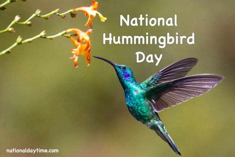 National Hummingbird Day 2023 - Saturday, September 2 - Nationaldaytime.com